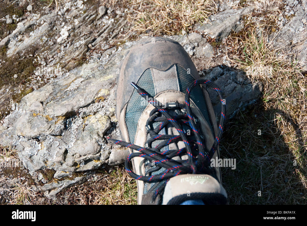 Close up of walking shoe Stock Photo - Alamy