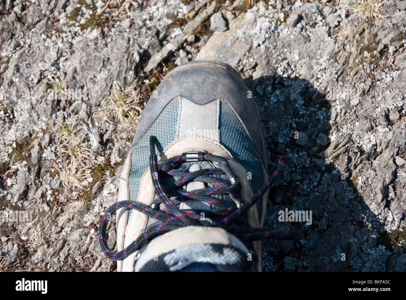 Close up of walking shoe Stock Photo - Alamy