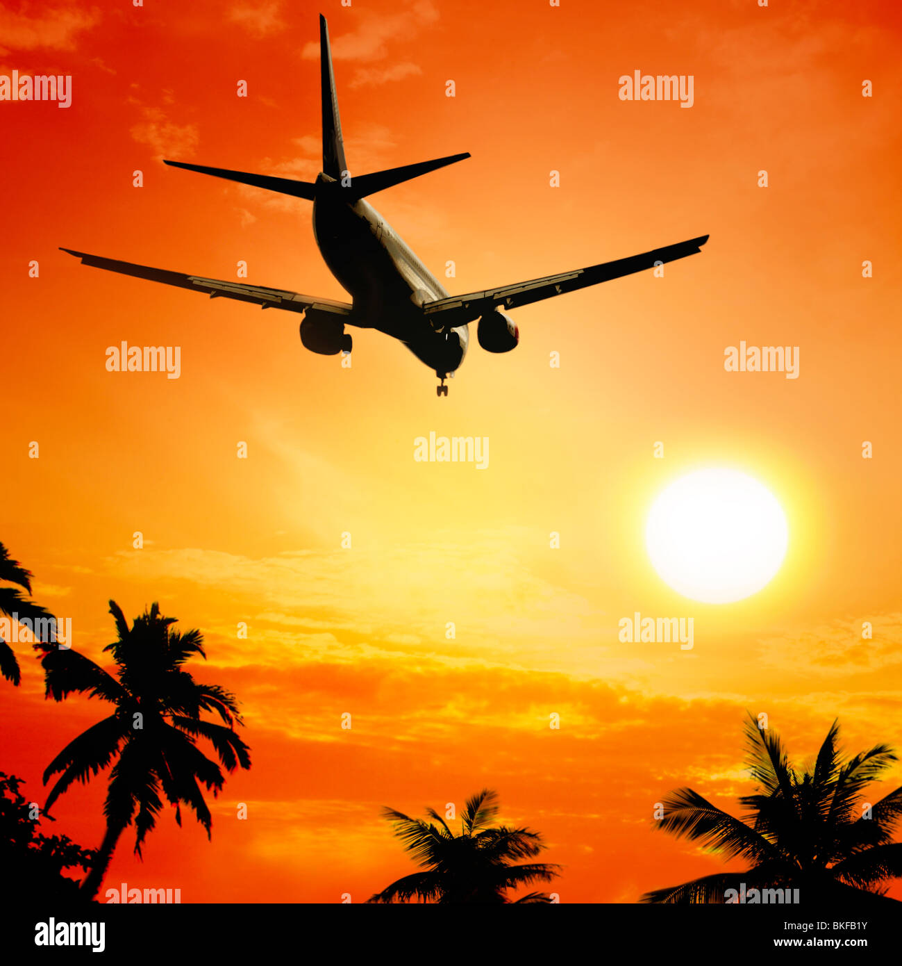 Airplane at sunset with palm trees and sun hi-res stock photography and ...