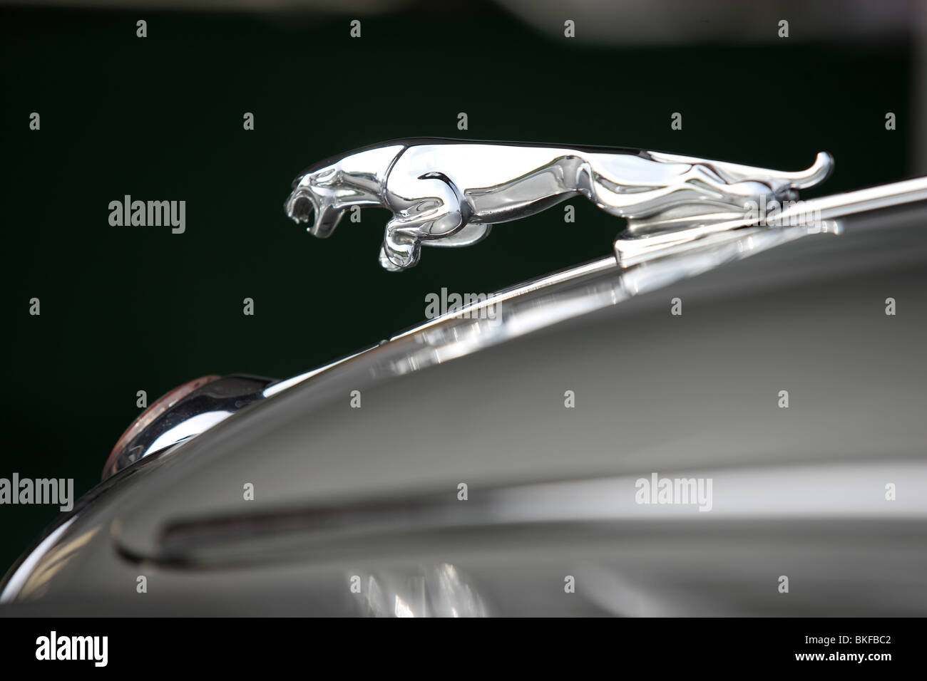 Jaguar Badge High Resolution Stock Photography and Images - Alamy
