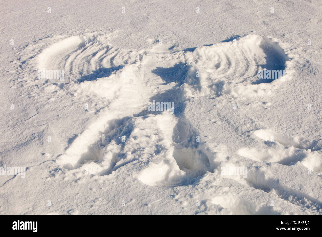 a snow angel Stock Photo - Alamy