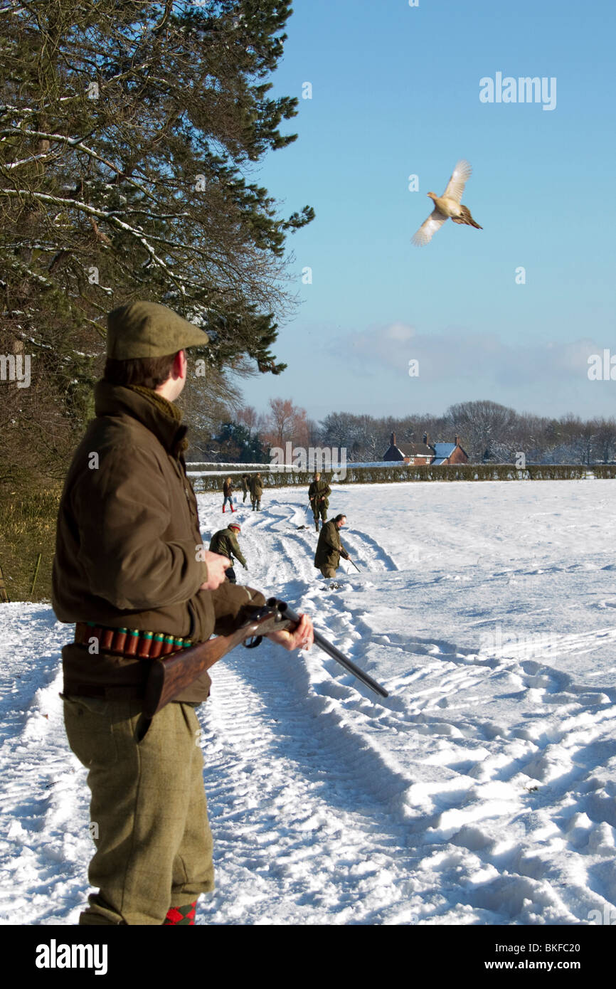 Gun shooting in a snow covered field with pheasant flying Stock Photo ...