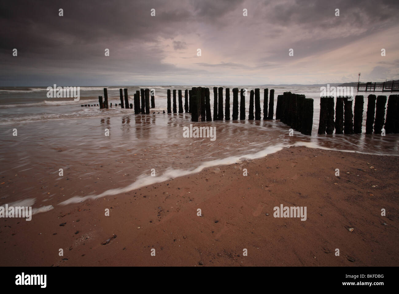 Dawlish warren beach hi-res stock photography and images - Alamy
