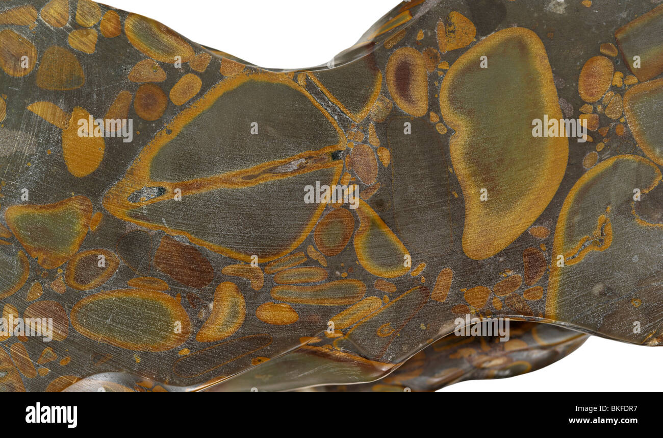 Saw cut cross section of jasper against a white background Stock Photo ...