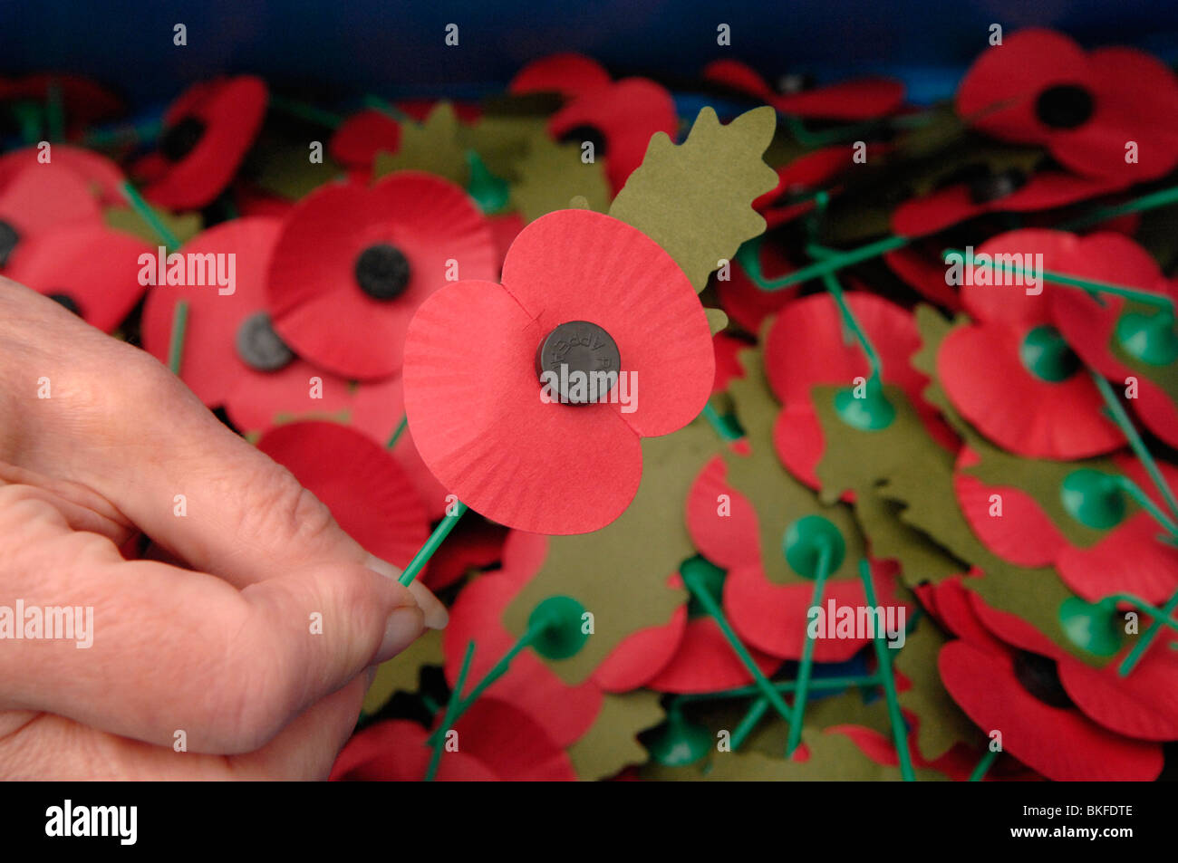 Memorial poppy wreath poppies mass remembrance hi-res stock photography ...