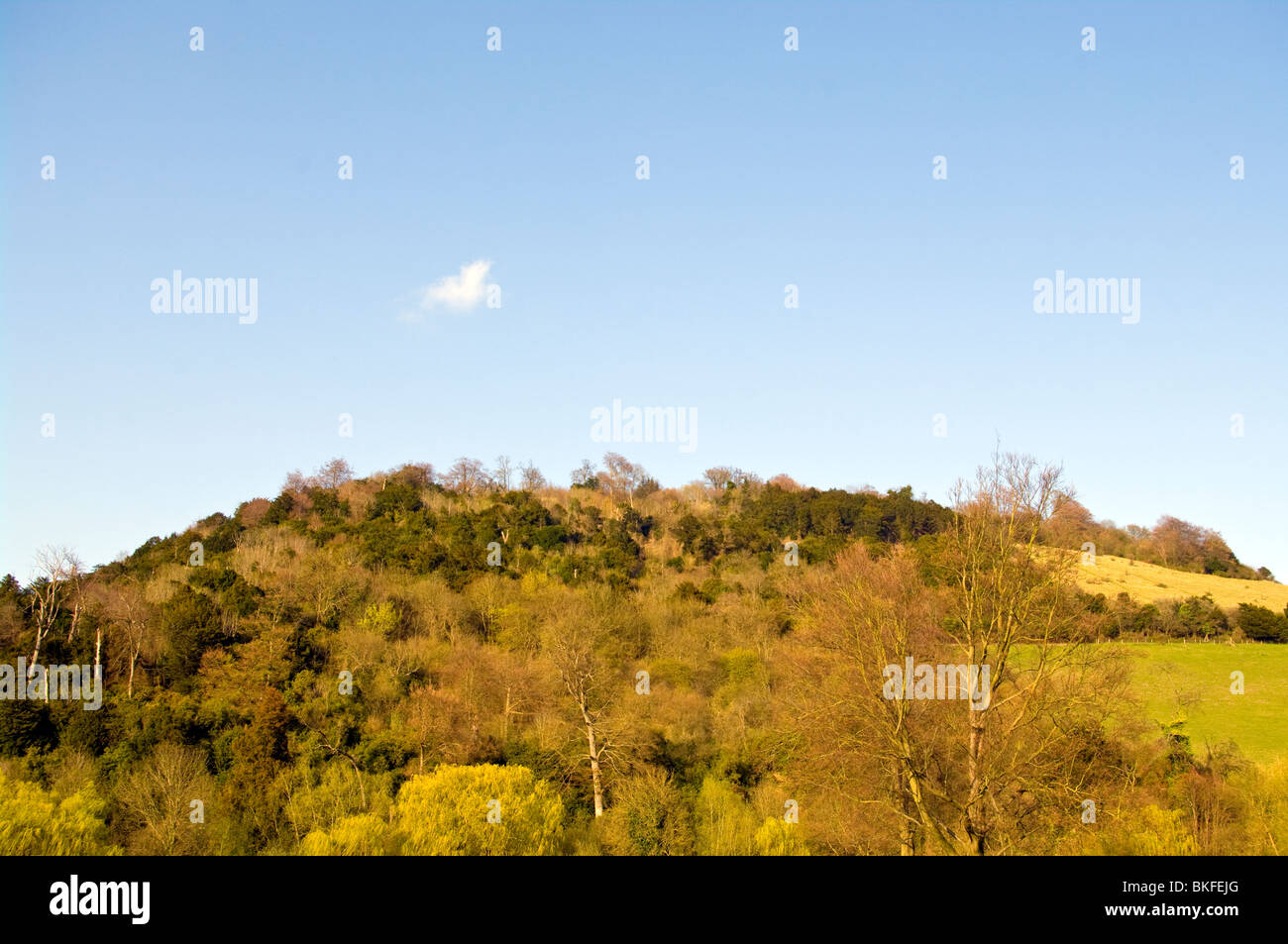 Box Hill Surrey England Stock Photo - Alamy