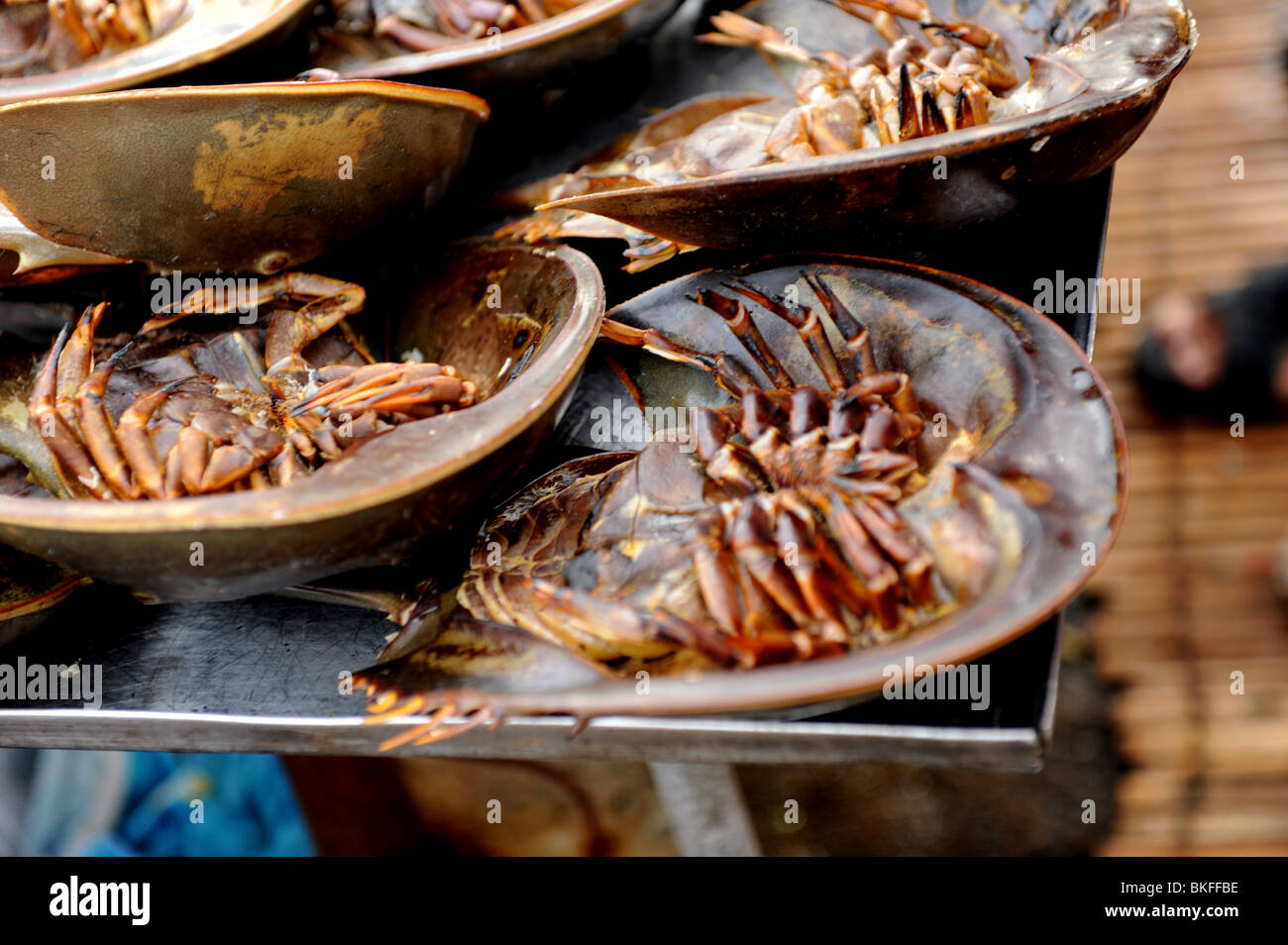 horseshoe crab (Tachypleus gigas), on sale at Ang Sila, fishing village ...