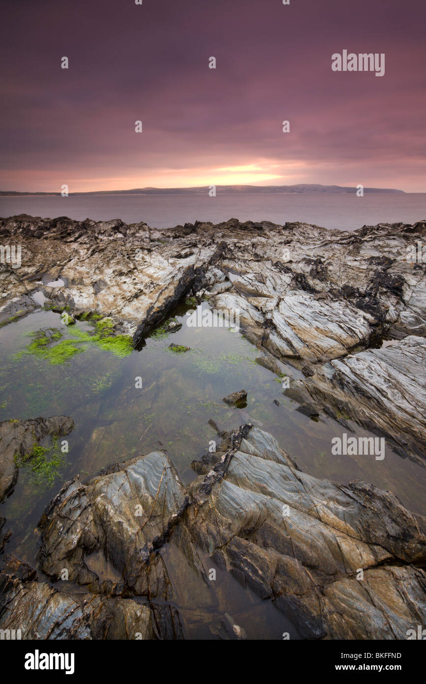 Rockpool hi-res stock photography and images - Alamy