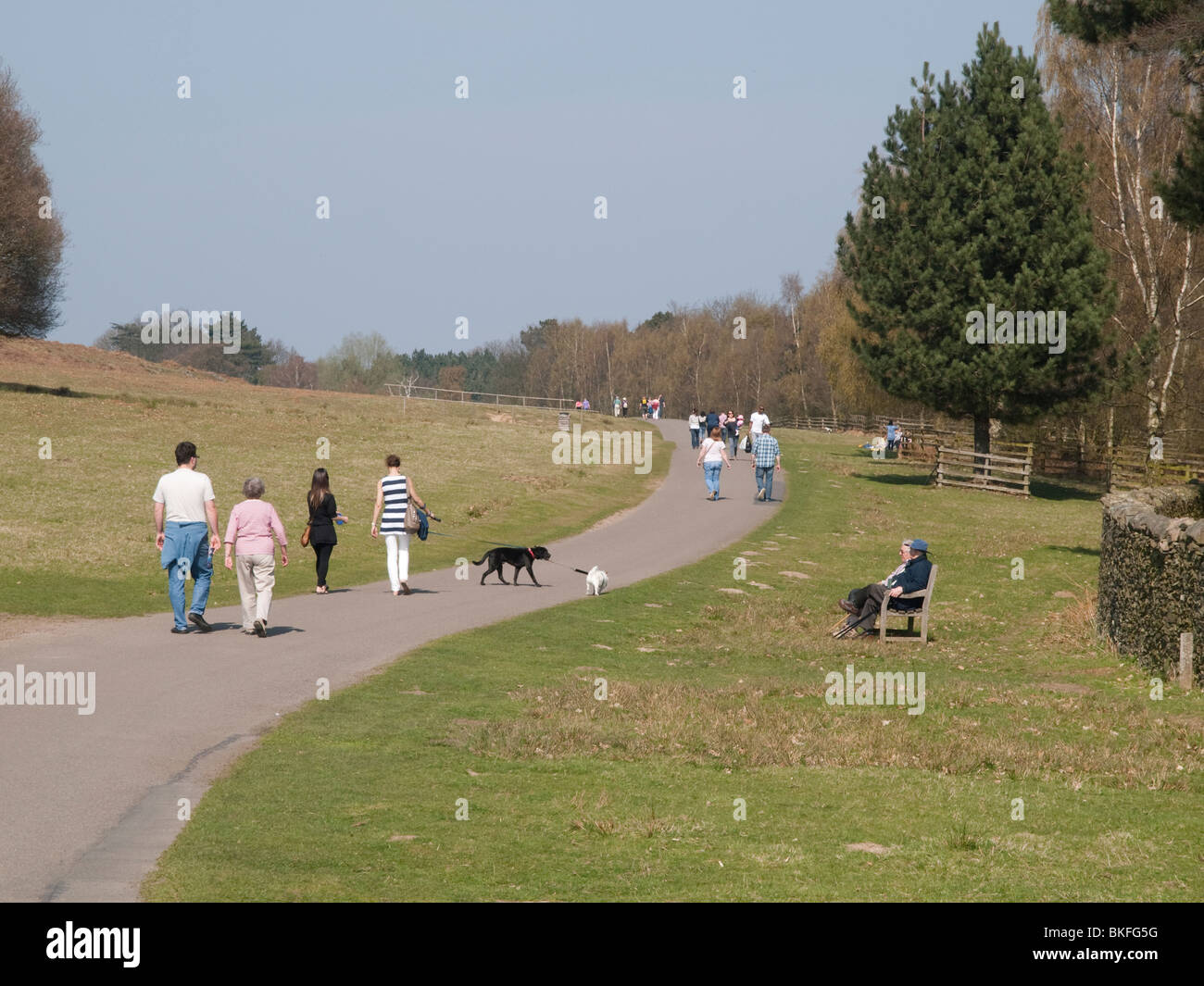 Bradgate country park walk hi-res stock photography and images - Alamy