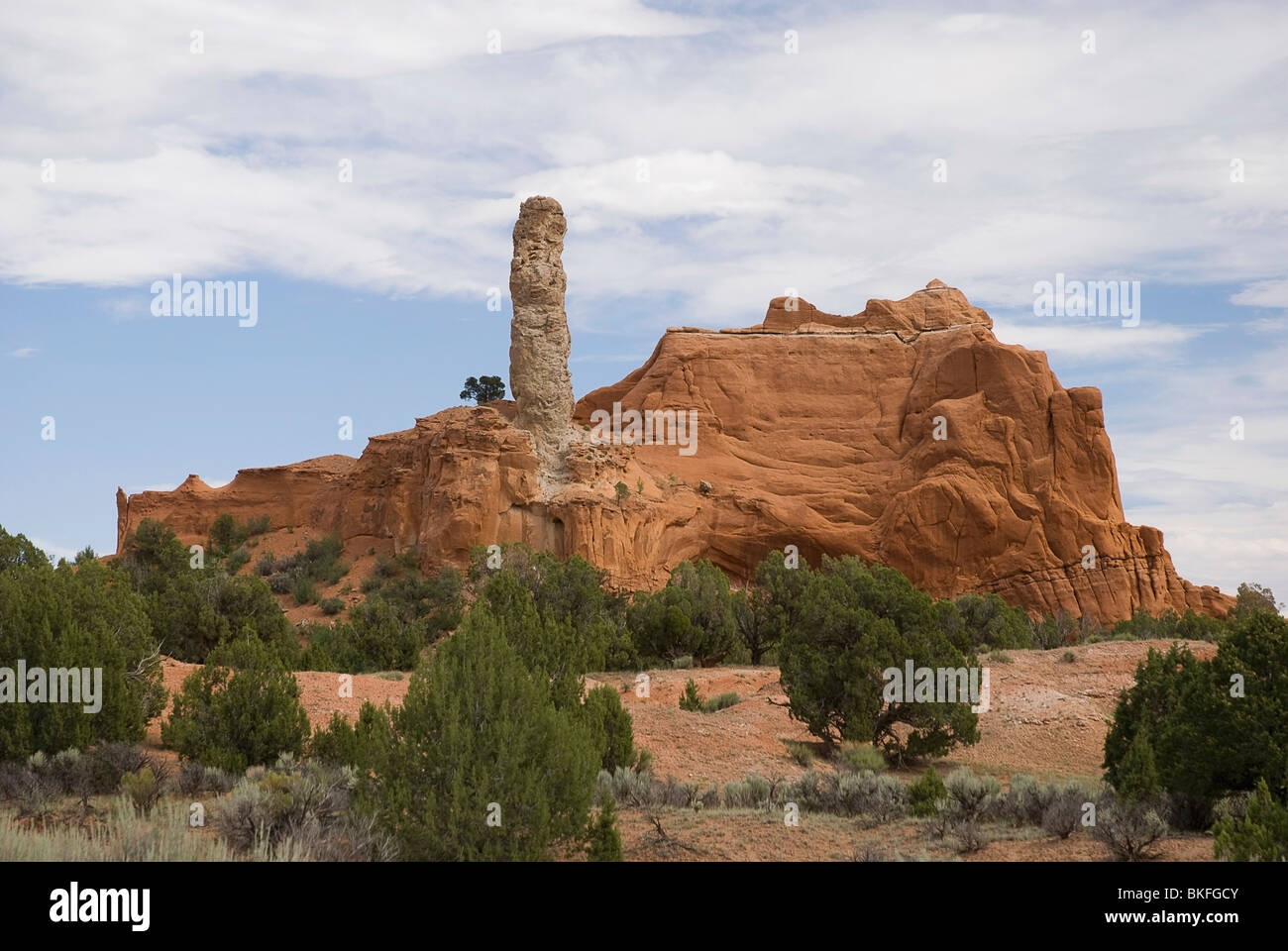Utah, United States Of America; Sand Pipe At Kodachrome Basin State ...