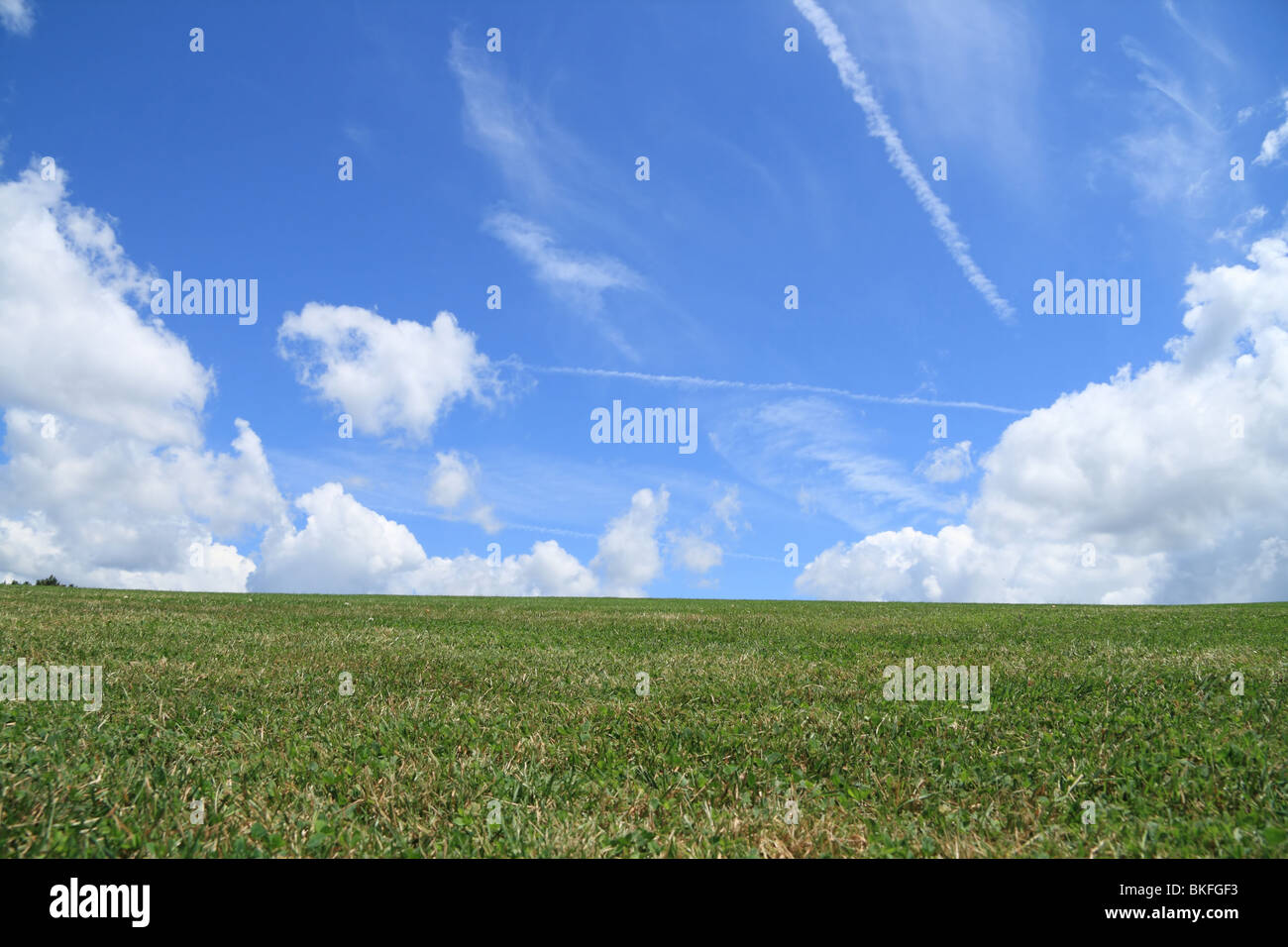 Spring Landscape and Blooming Trees on a Clear Blue Day Stock Photo - Alamy