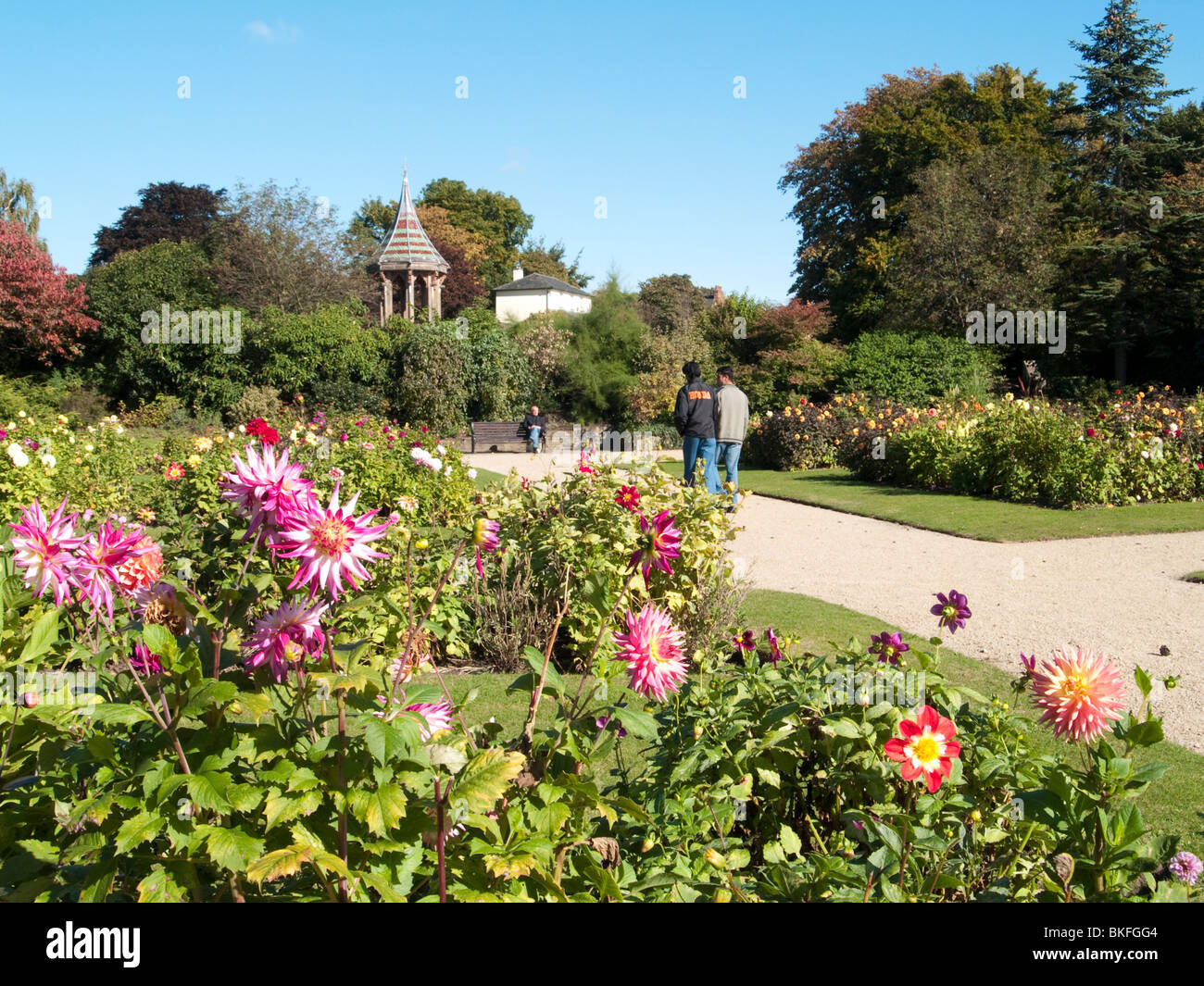 Flower gardens at the Arboretum Park, Nottingham England UK Stock Photo ...
