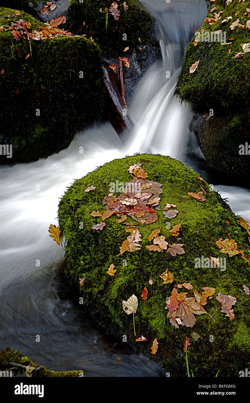 Stream rushing between rocks hi-res stock photography and images - Alamy