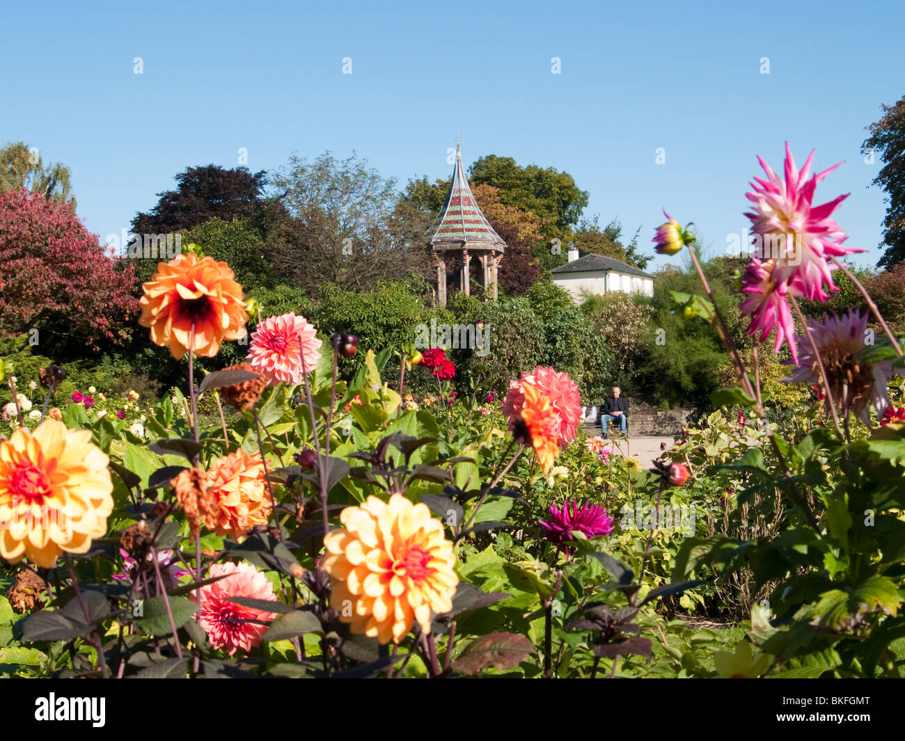 Flower gardens at the Arboretum Park, Nottingham England UK Stock Photo ...