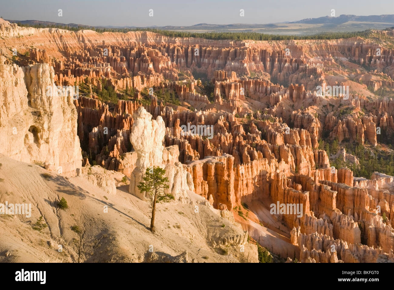 Needle Rock Formations In A Canyon Stock Photo - Alamy