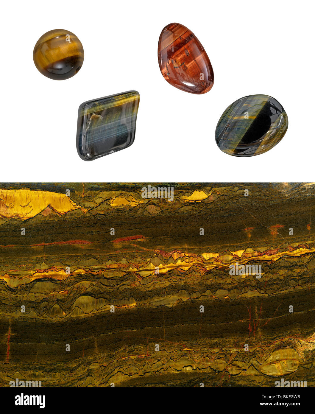 Four pieces of polished tiger eye & one large polished cross-section ...