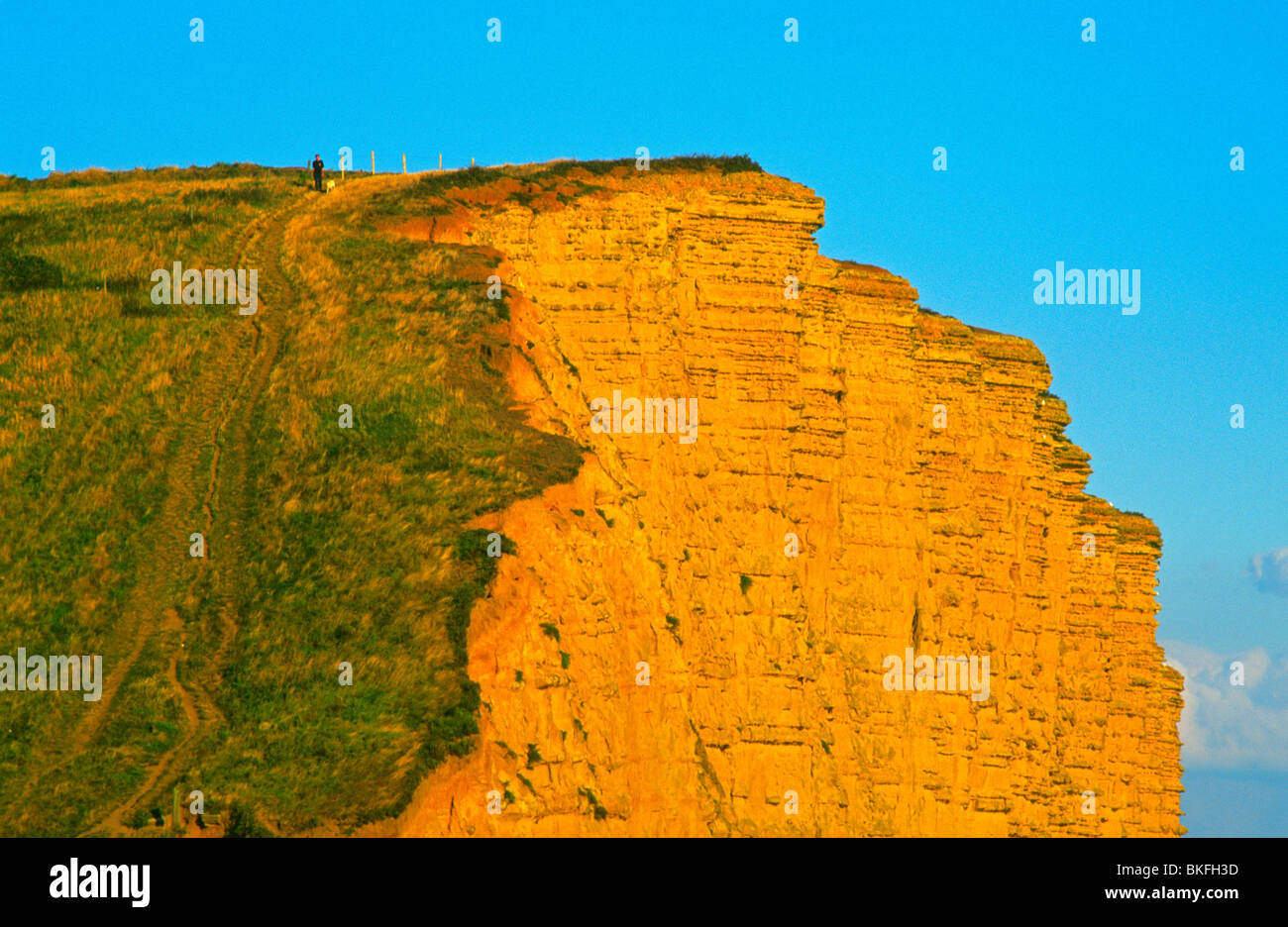 Walker on cliff path, East Cliff, Bridport,Dorset Stock Photo - Alamy