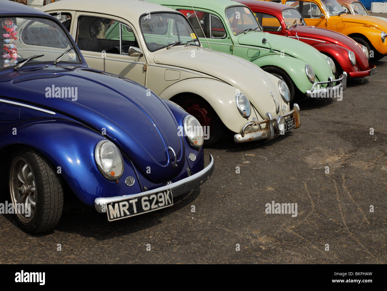 Classic vw beetles club meeting hi-res stock photography and images - Alamy