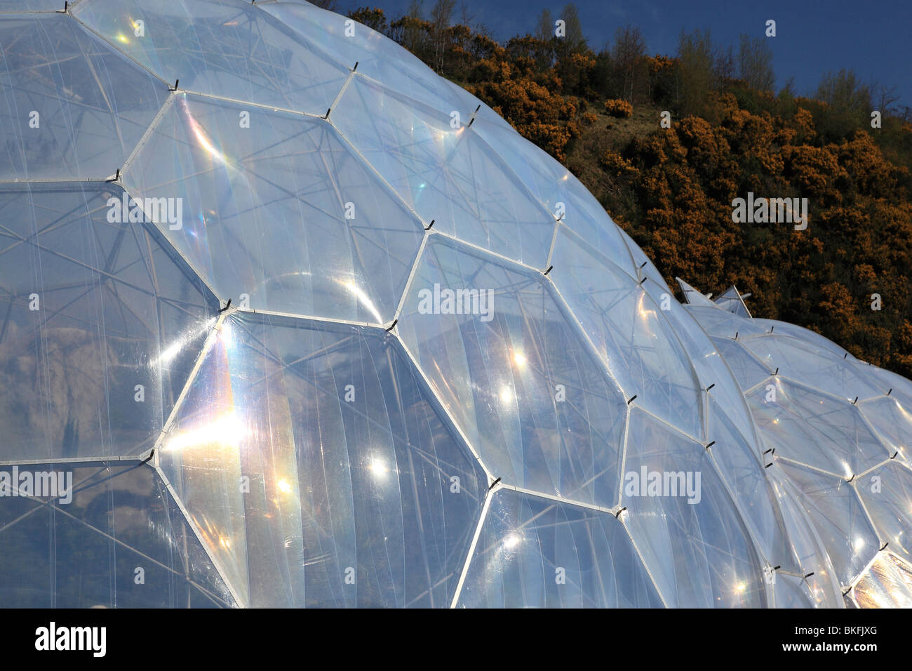 Dome of Eden Project gardens Cornwall England Stock Photo - Alamy