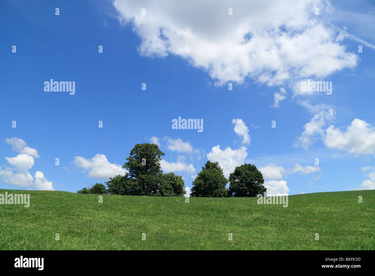 Spring Landscape and Blooming Trees on a Clear Blue Day Stock Photo - Alamy