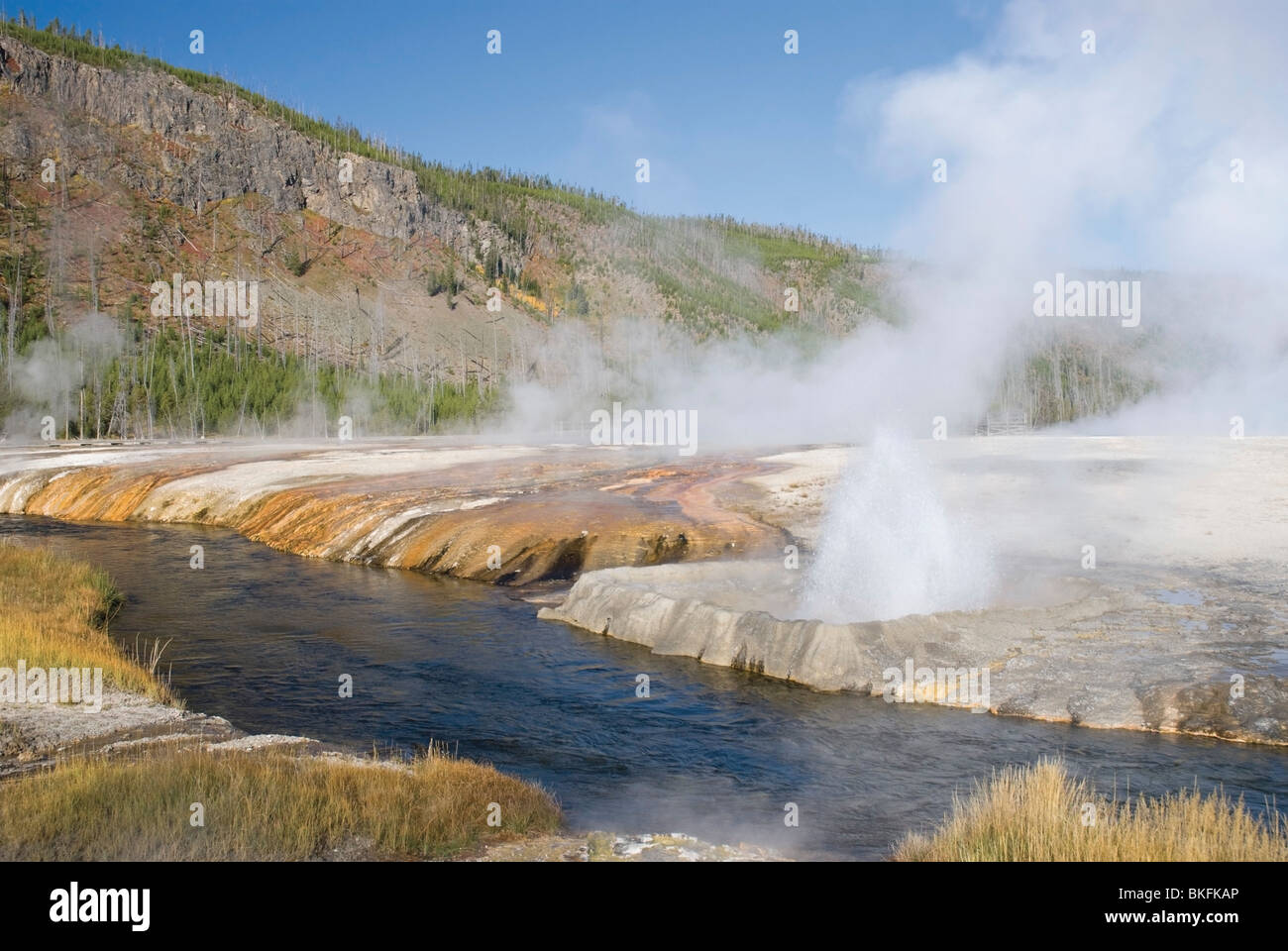 Shooting out water hi-res stock photography and images - Alamy