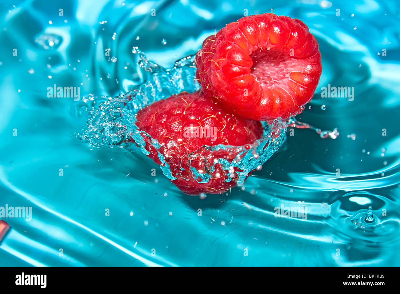 Fresh raspberries dropped to clear, blue water. Splash with fruits ...