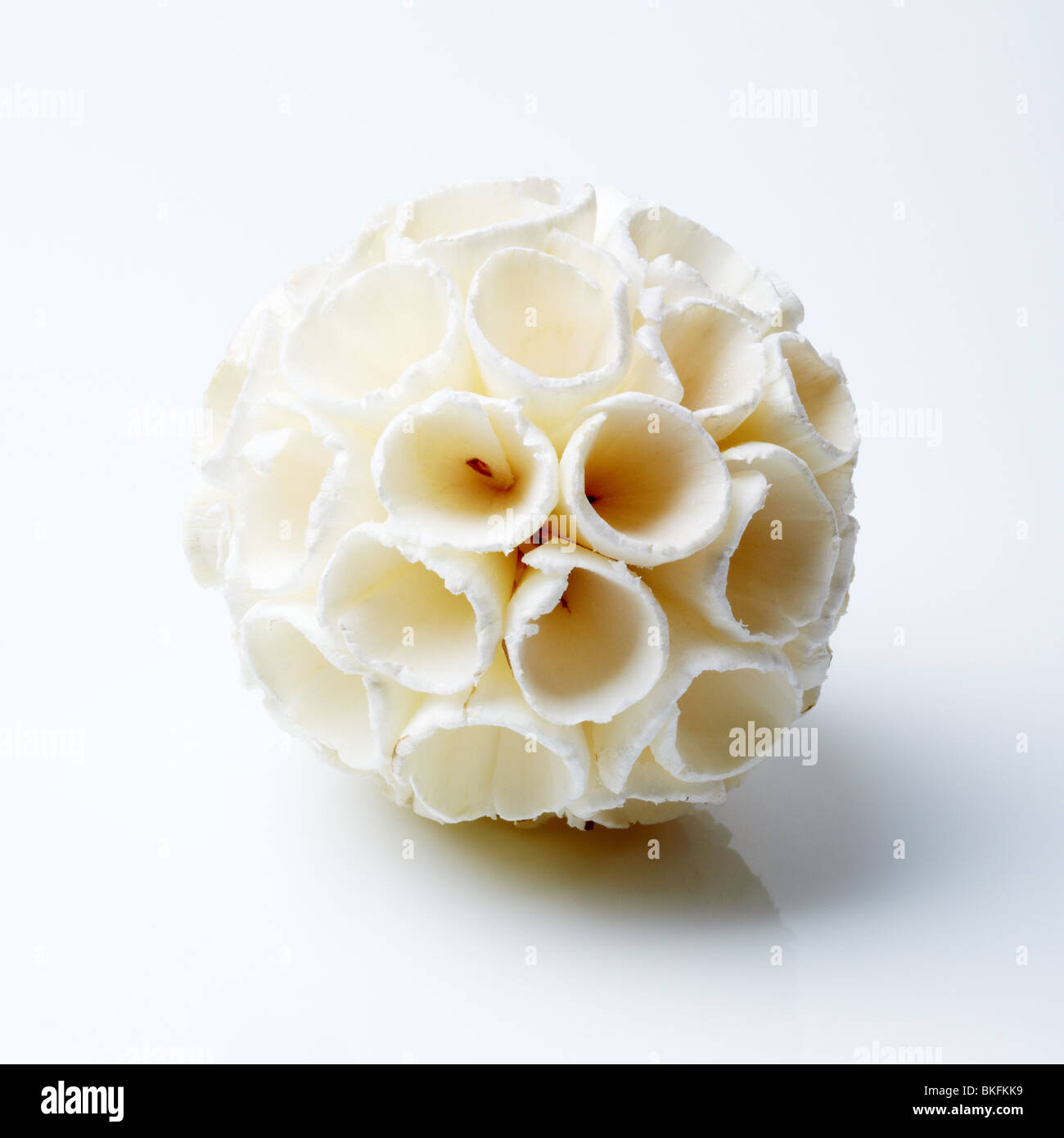 Dried ball hi-res stock photography and images - Alamy