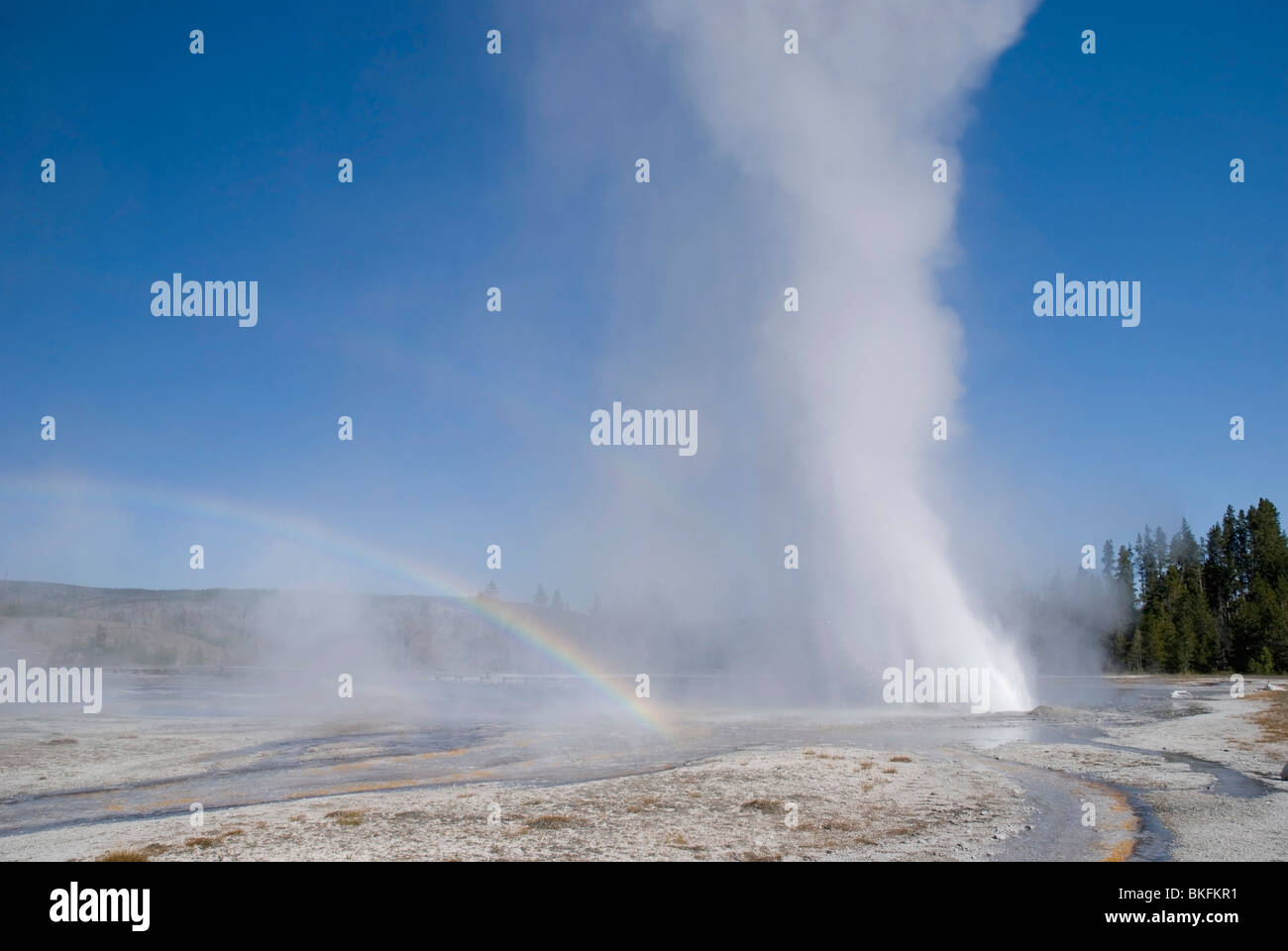 A Geyser With Water Shooting Out And Forming A Rainbow Stock Photo - Alamy