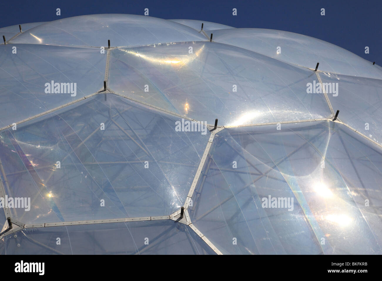 Dome of Eden Project gardens Cornwall England Stock Photo - Alamy