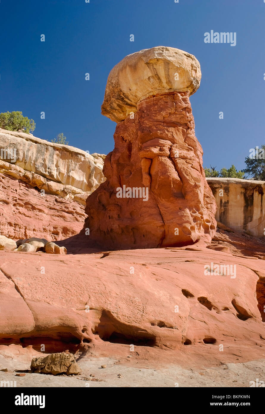 Utah, United States Of America; Hoodoo In Capitol Reef National Park ...