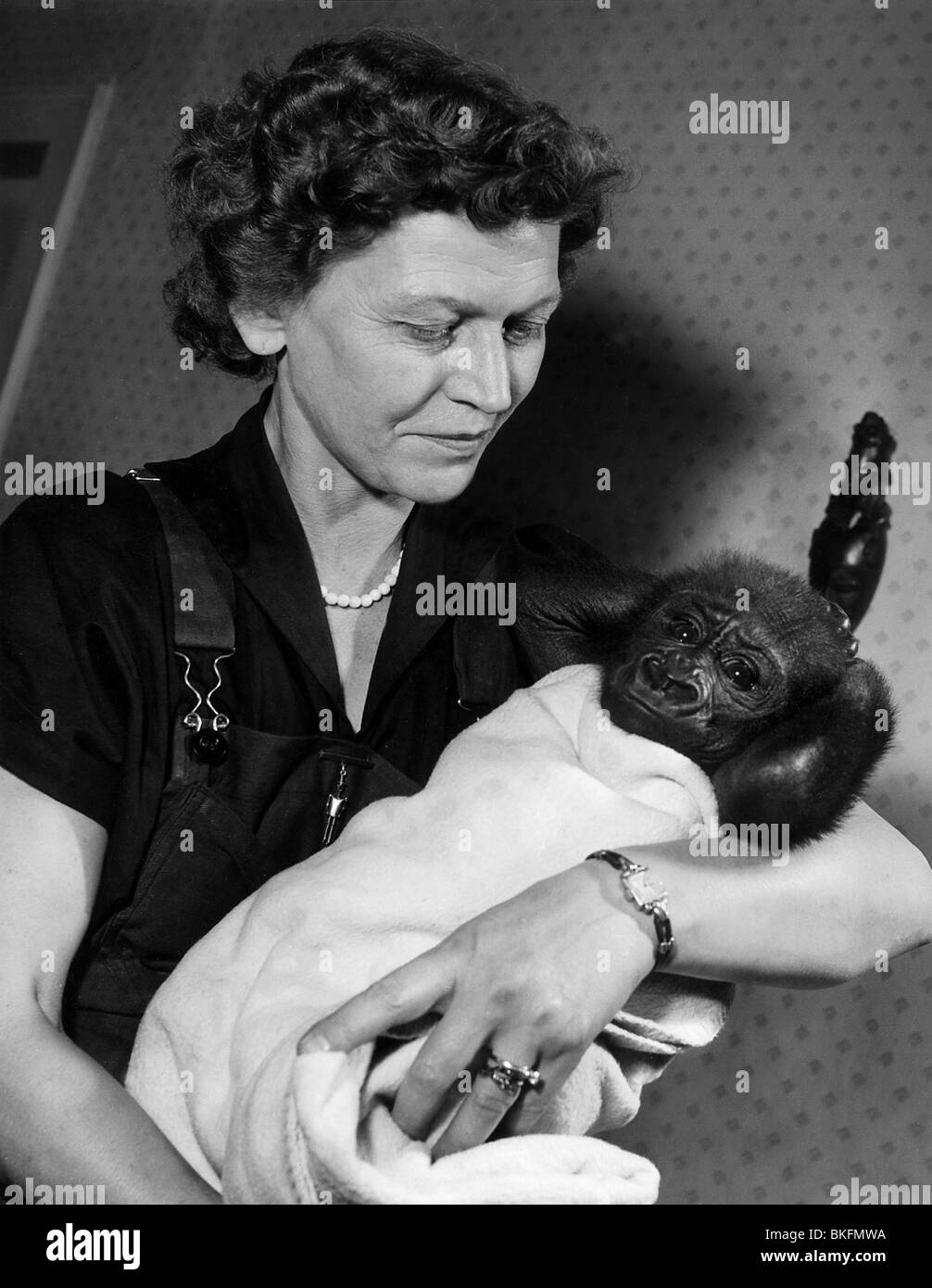 Female zoologist Black and White Stock Photos & Images - Alamy