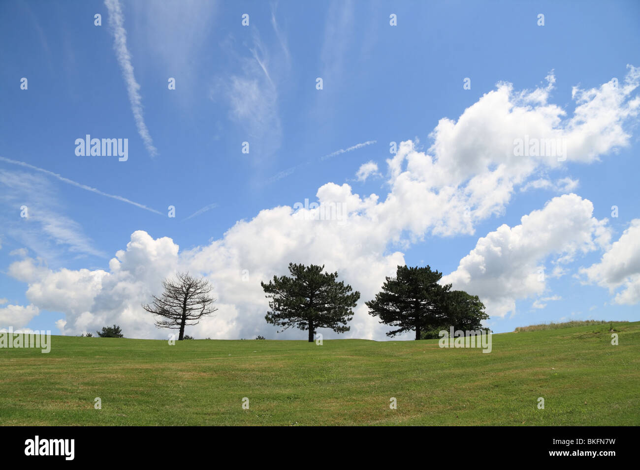 Spring Landscape and Blooming Trees on a Clear Blue Day Stock Photo - Alamy