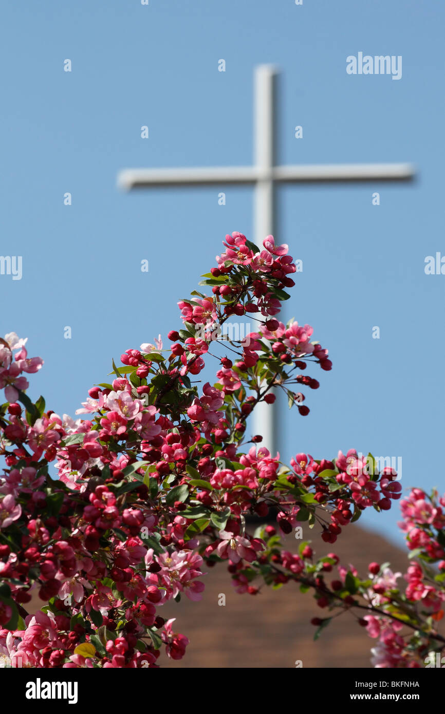 Close up of church a cross on blue sky with pink flowers blurry blurred ...