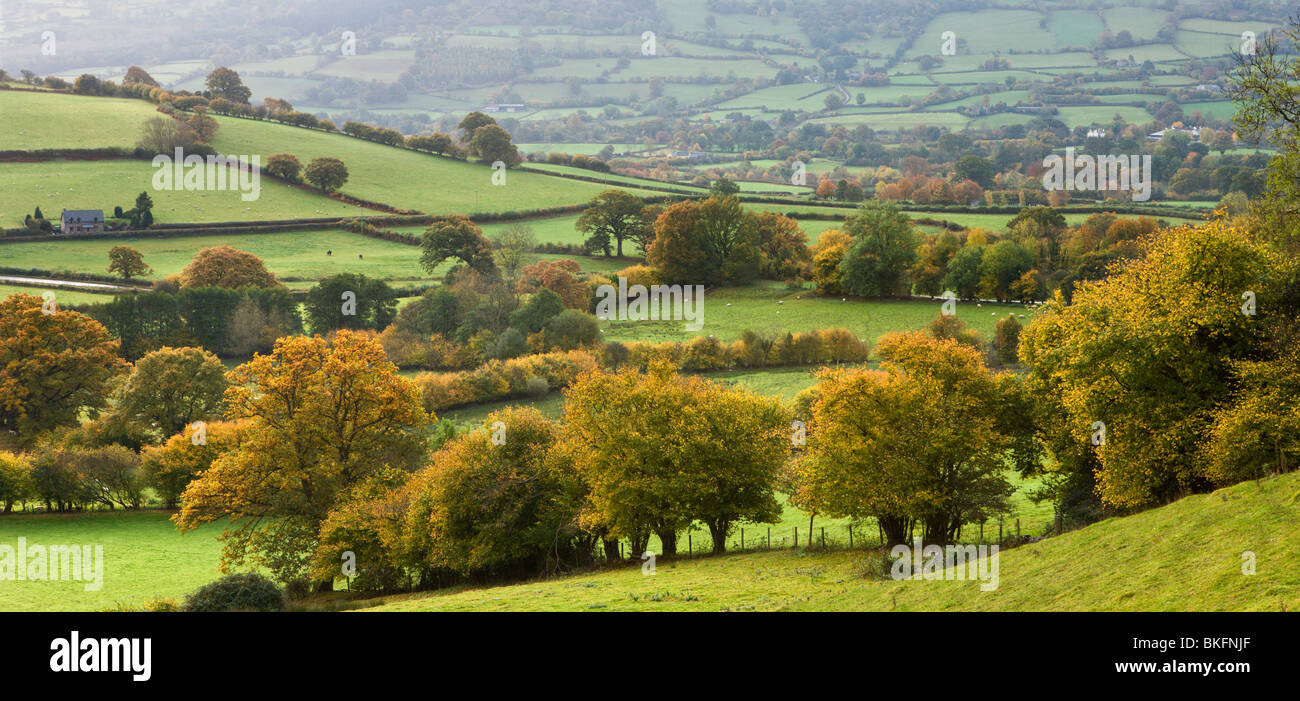 Rolling countryside in autumn colours near Bwlch, Brecon Beacons ...
