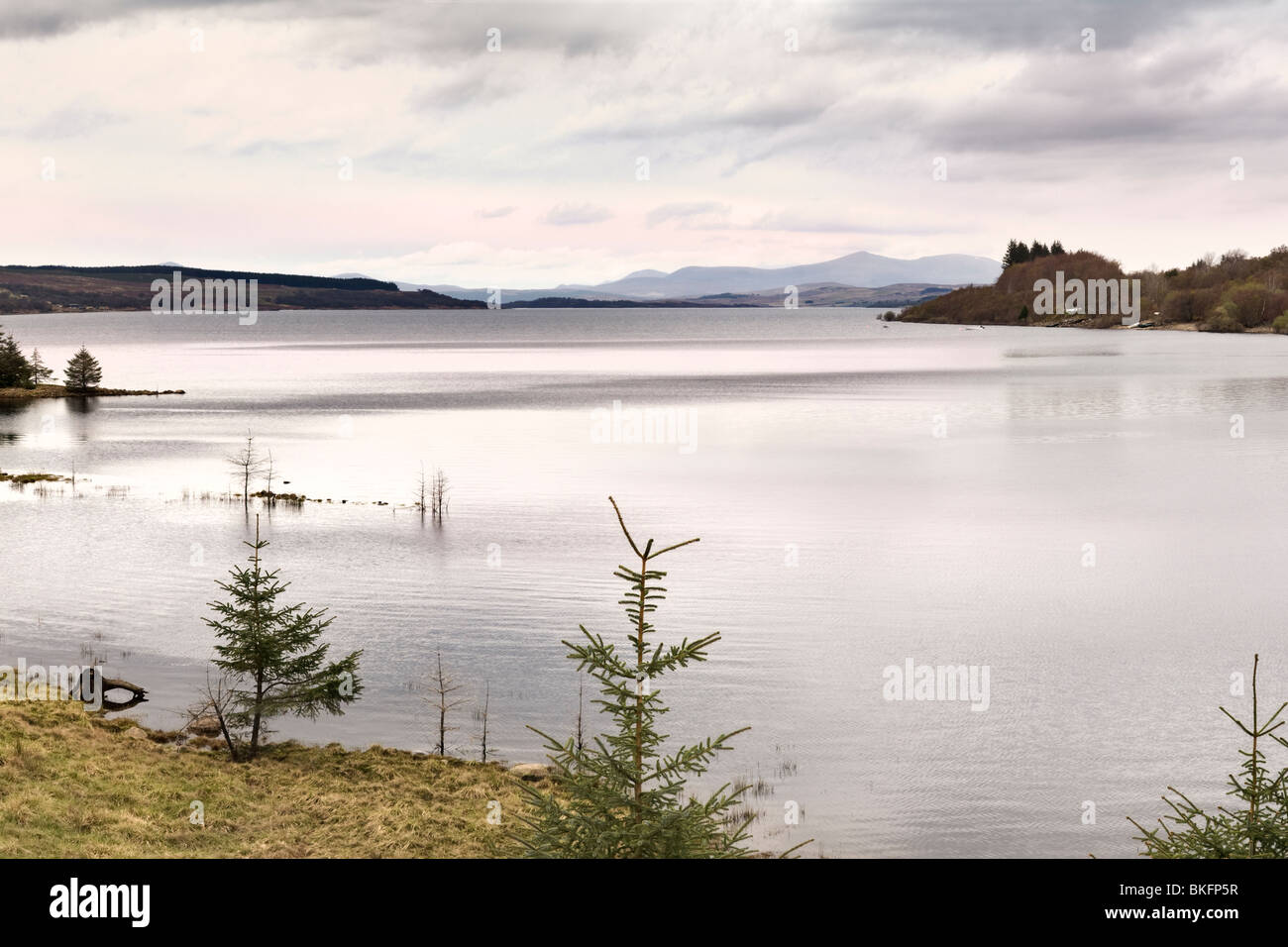 Lairg loch shin hi-res stock photography and images - Alamy