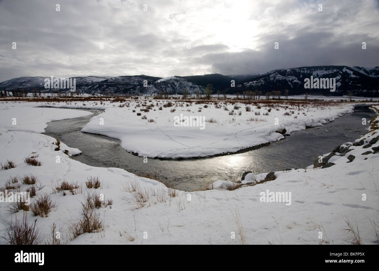 Yellowstone Park Wyoming Winter Snow soda butte creek Stock Photo - Alamy