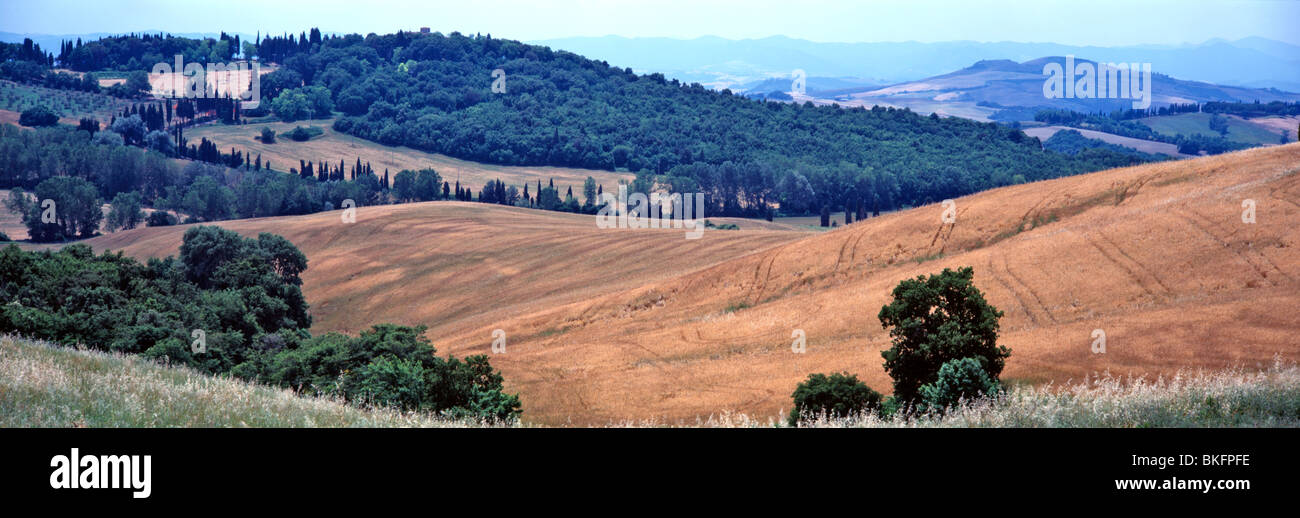A panoramic view of the iconic Tuscan countryside in summer Stock Photo ...