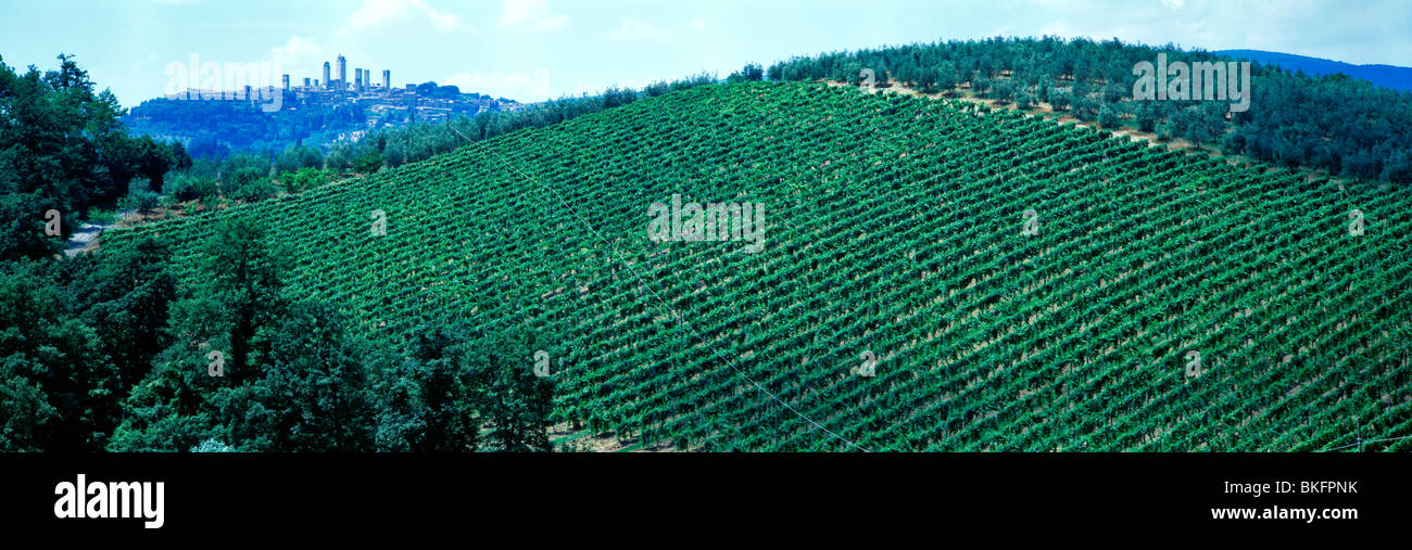 A panoramic view of the iconic Tuscan countryside with a hillside ...