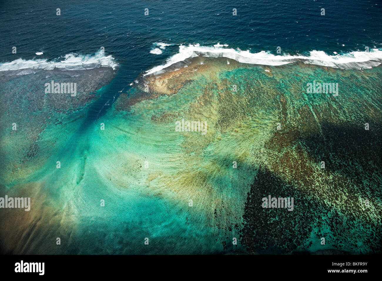 Coral reef hi-res stock photography and images - Alamy