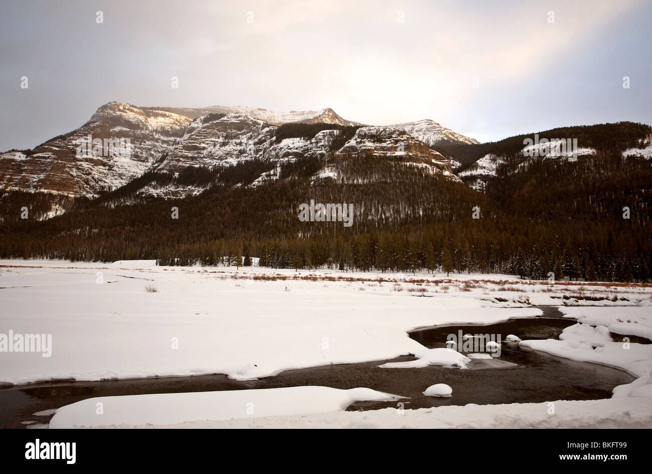 Soda butte geyser hi-res stock photography and images - Alamy