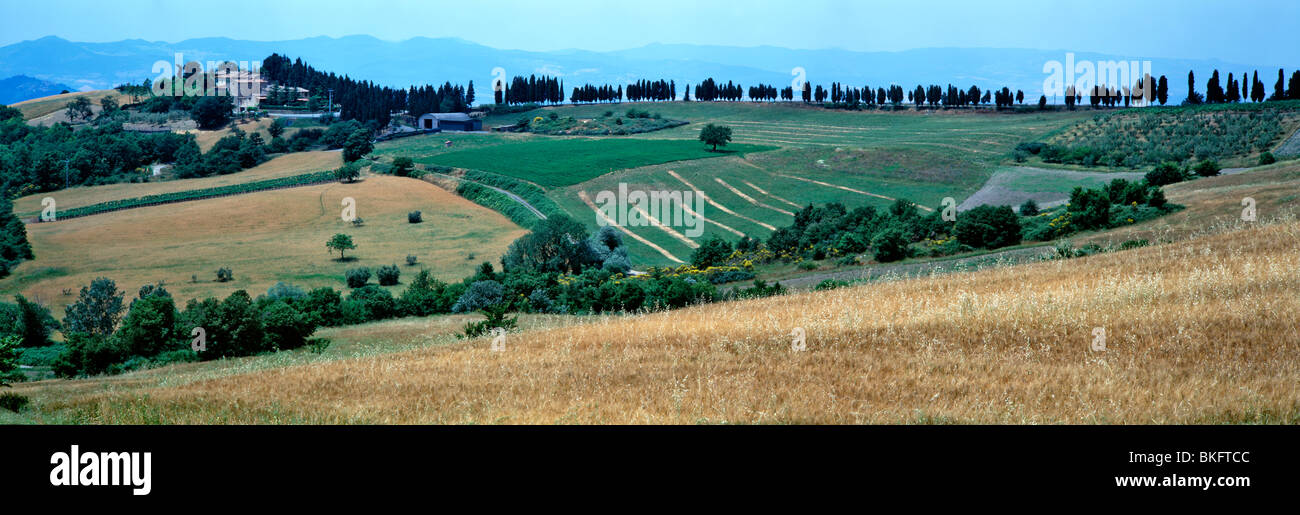 A panoramic view of the iconic Tuscan countryside in summer Stock Photo ...
