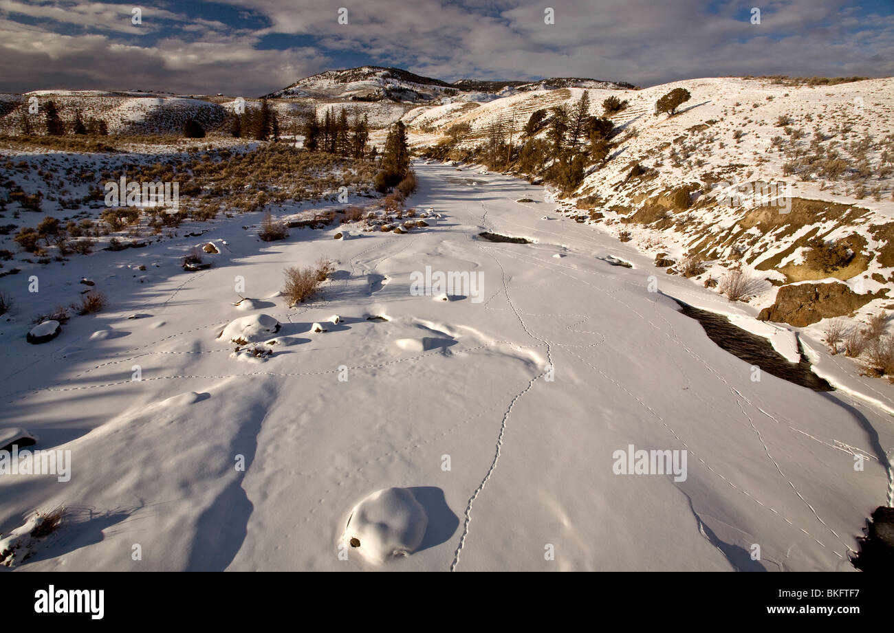 Wyoming winter snow hi-res stock photography and images - Alamy