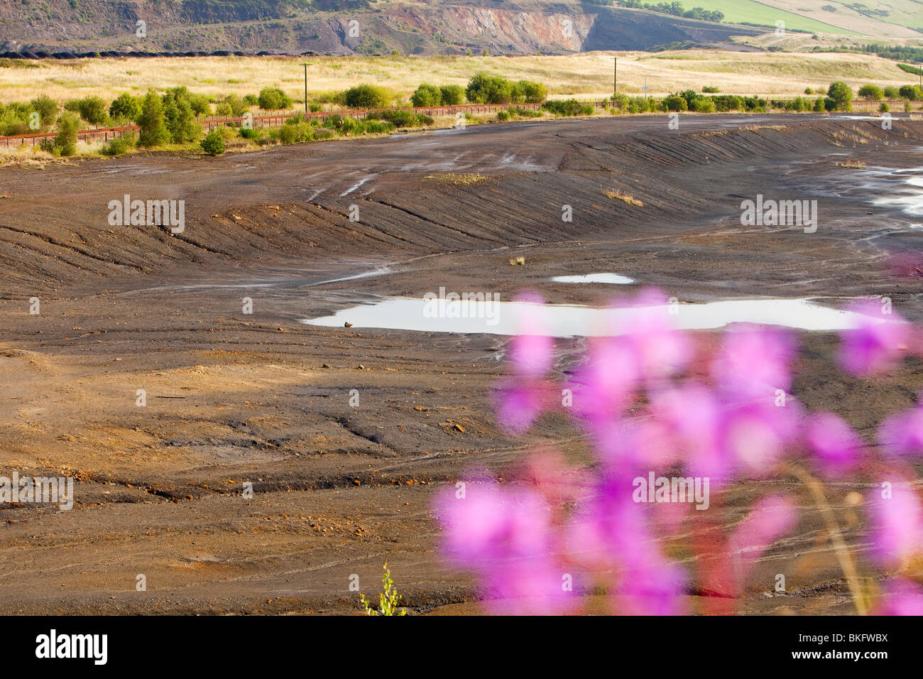 Spoil left by open cast coal mining at the abandoned Westfield mine in ...