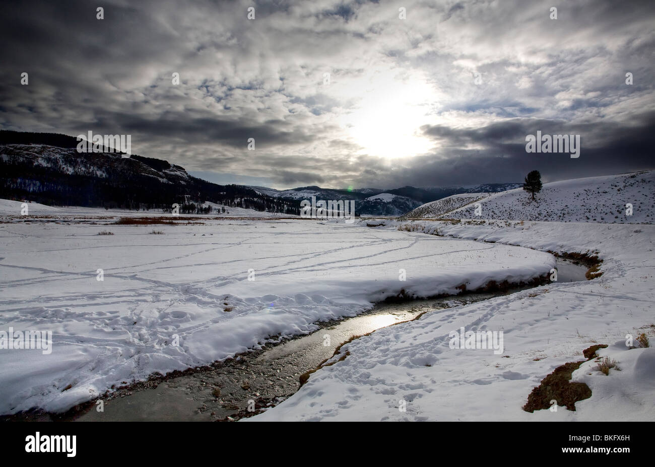 Soda butte geyser hi-res stock photography and images - Alamy