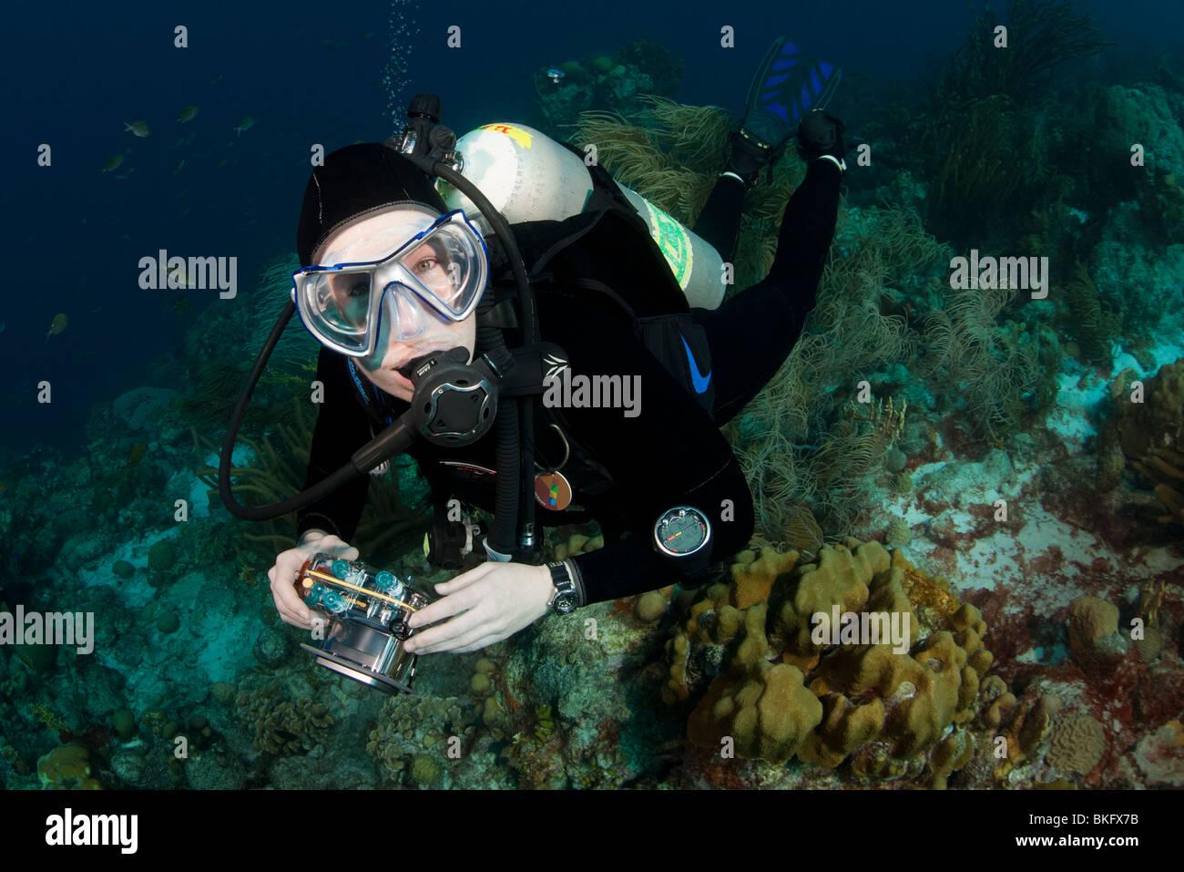 Scuba diver with her camera swimming over a tropical coral reef in Bonaire, Netherlands Antilles ...