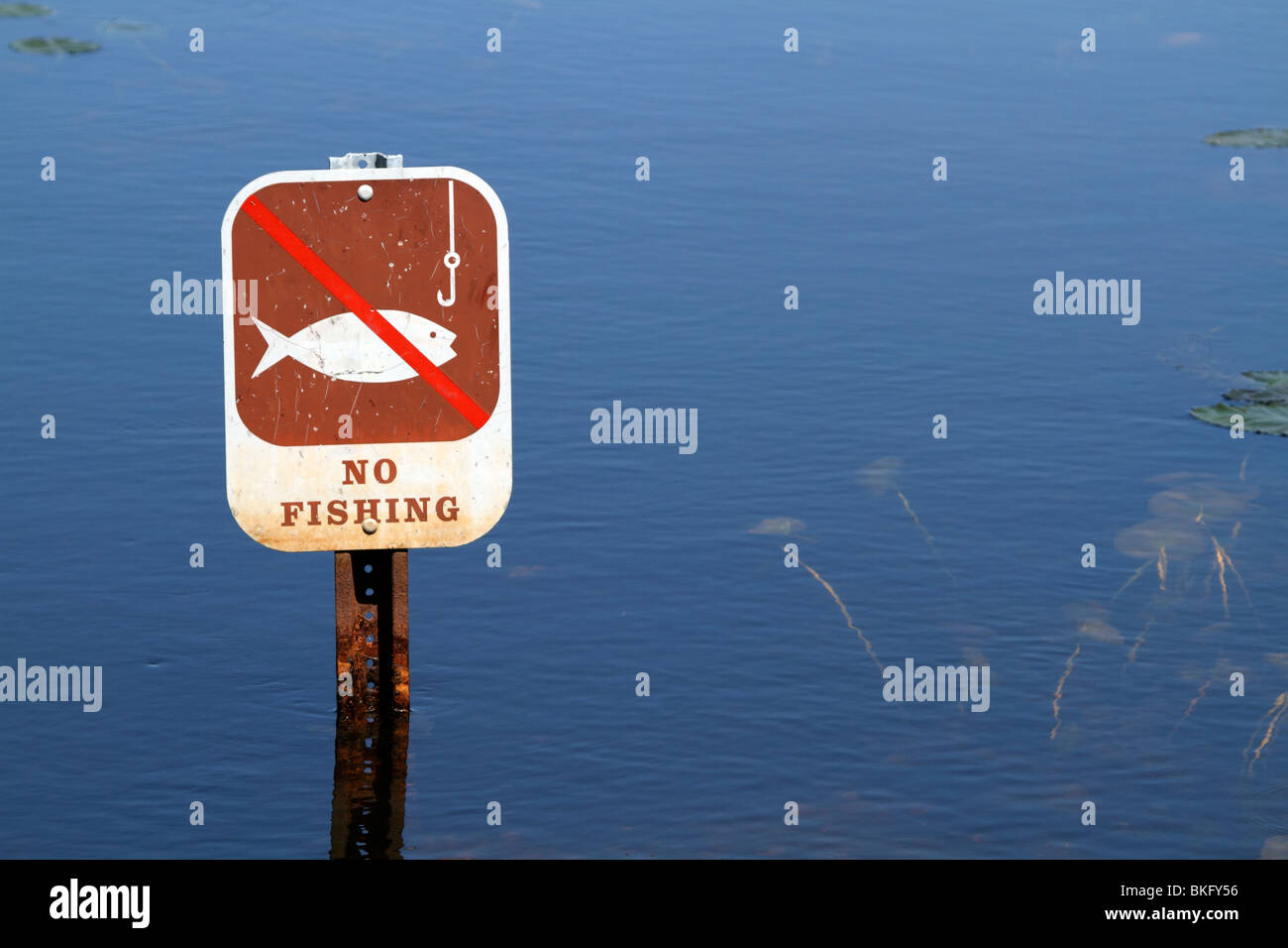 No Fishing Sign Stock Photo - Alamy