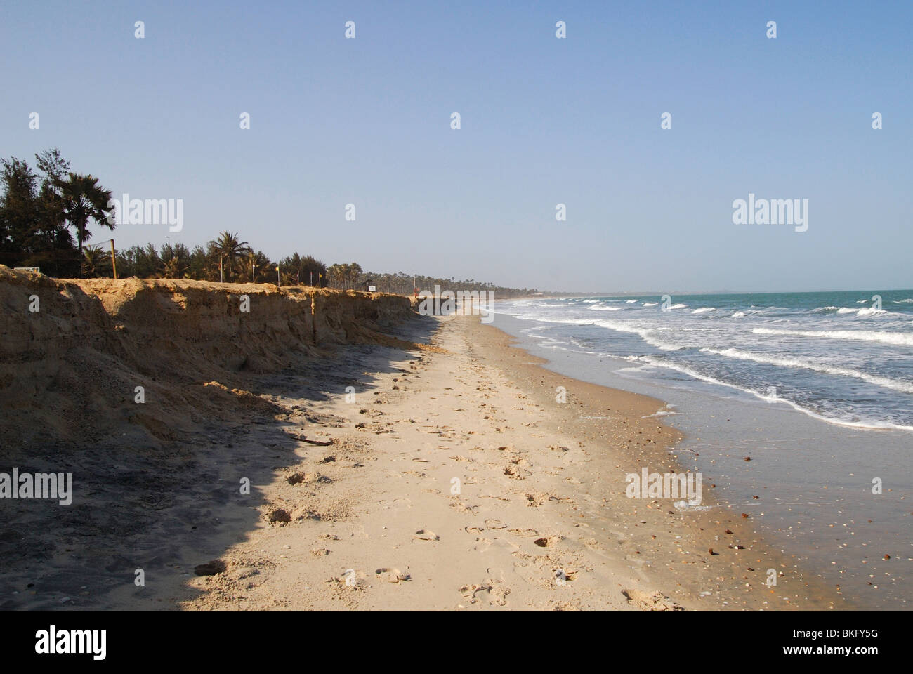 Kololi hi-res stock photography and images - Alamy