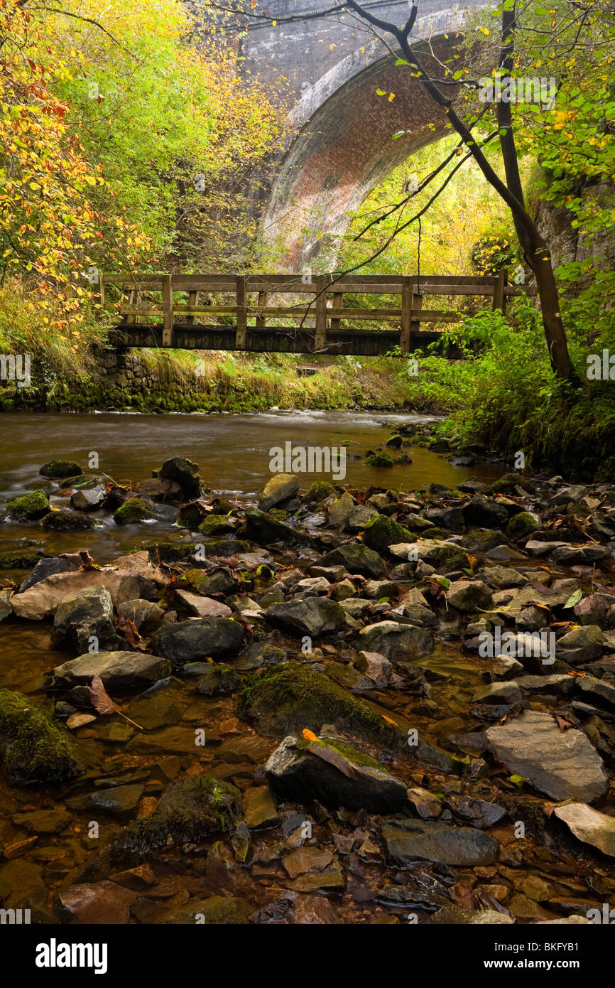 River Wye with bridge visible behind at Chee Dale near Bakewell in the ...