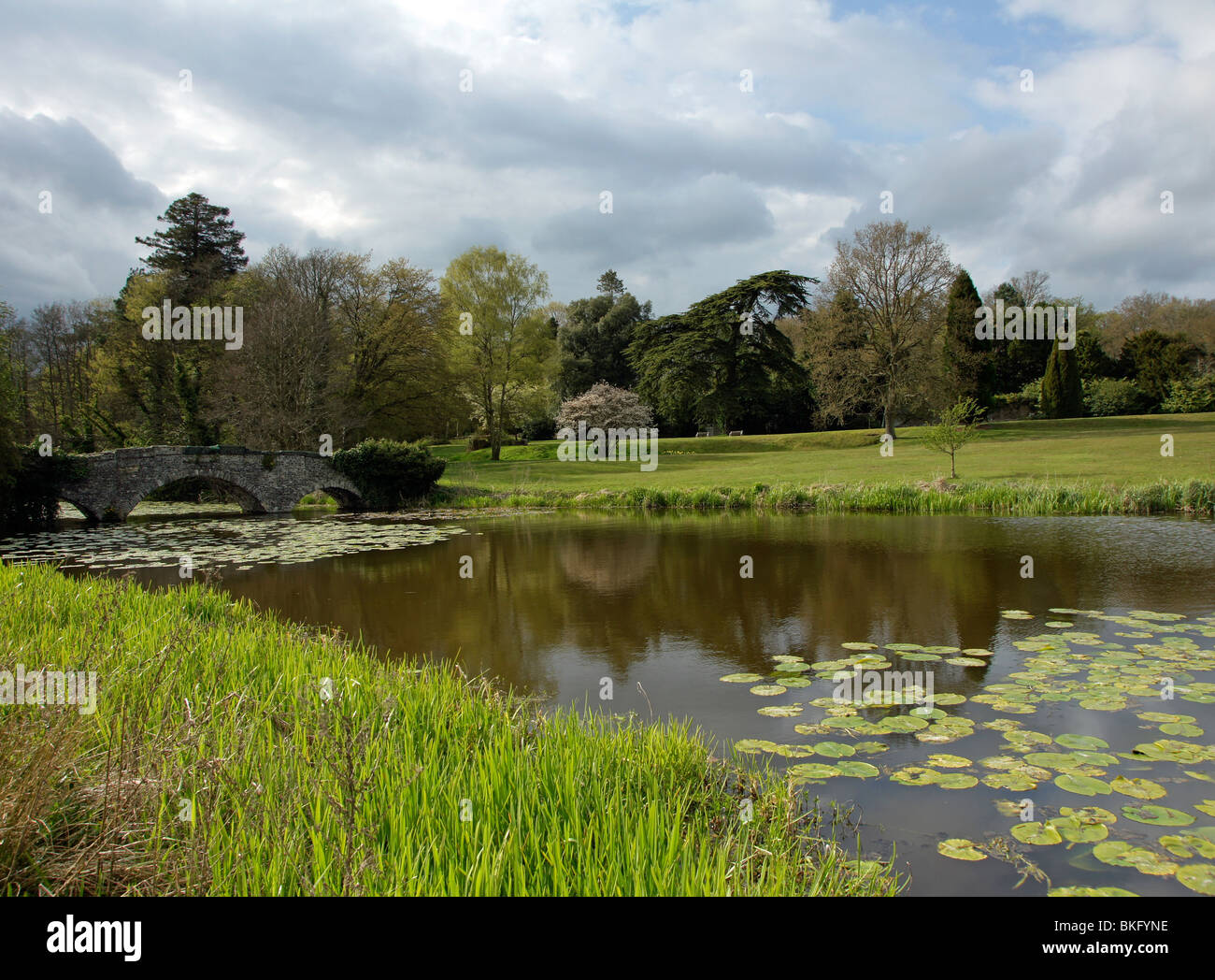 The lake between Waverley Abbey House and Waverley Abbey near Farnham ...