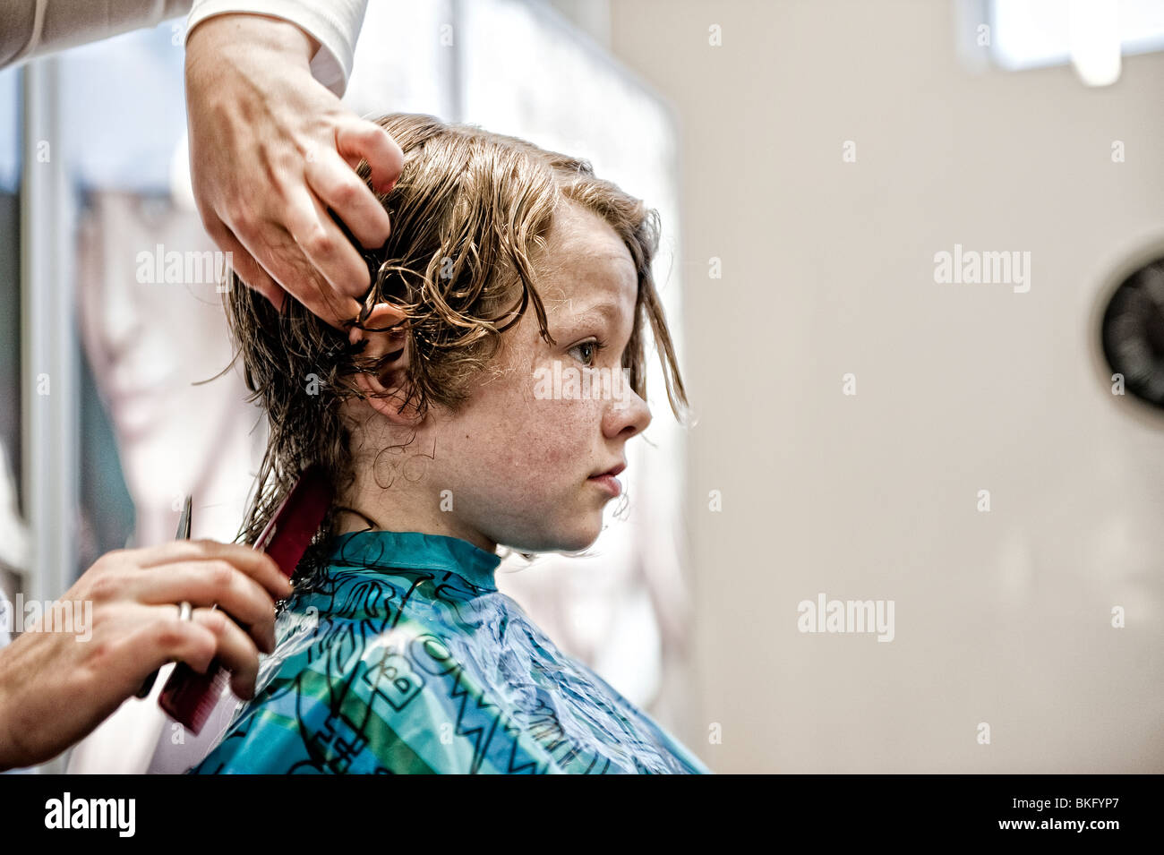 Little boy getting his hair cut Stock Photo - Alamy
